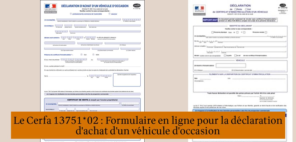 Le Cerfa 13751*02 : Formulaire en ligne pour la déclaration d'achat d ...