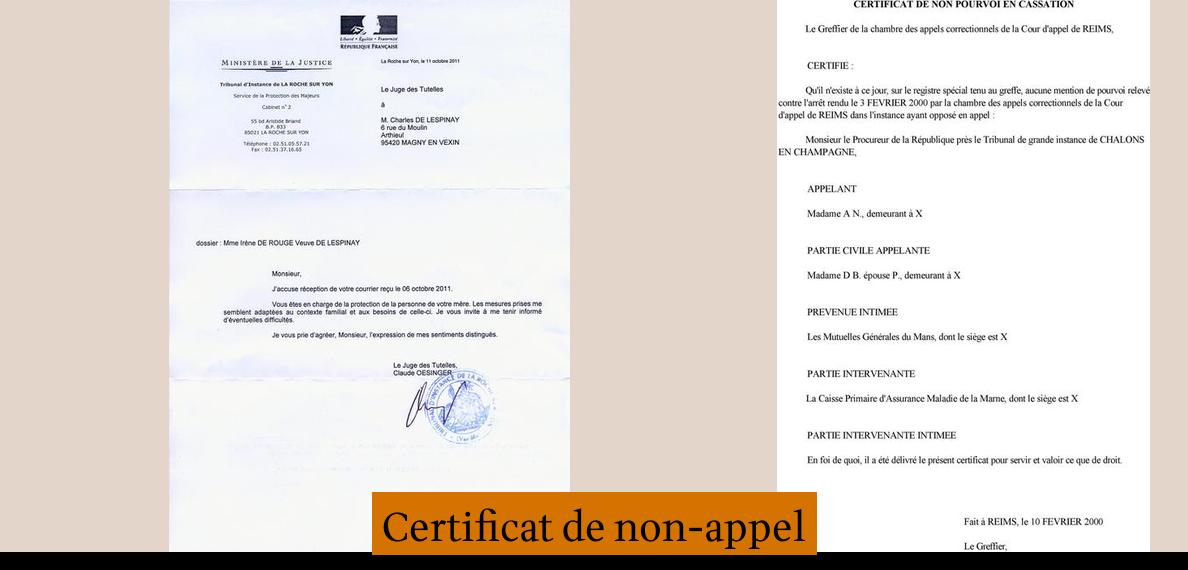 Tout savoir sur le certificat de non appel | Etude Lote : Ressources Éducatives pour Étudiants ...